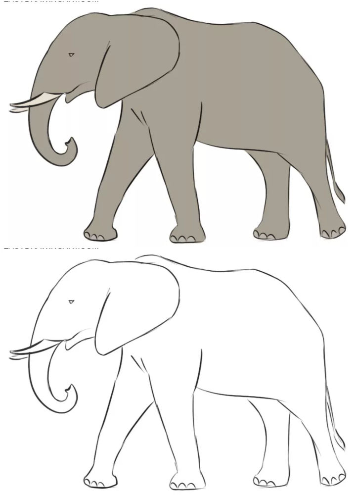 25 Easy Elephant Drawing Ideas - How to Draw an Elephant