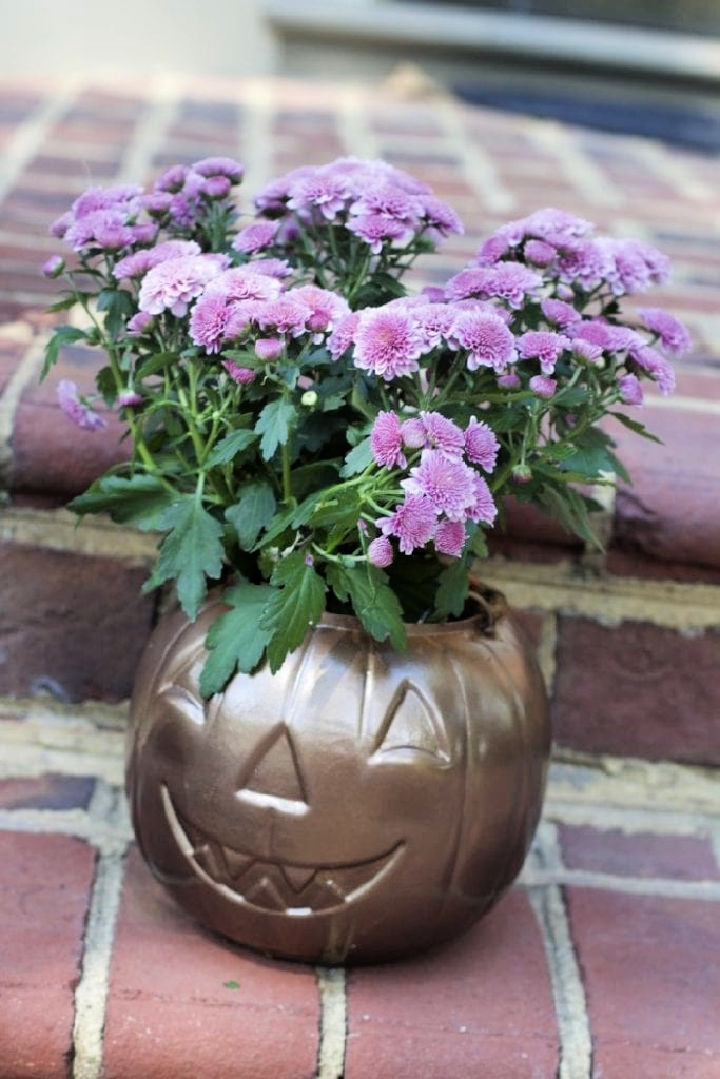 25 Simple Ways to Make a Pumpkin Planter - Blitsy