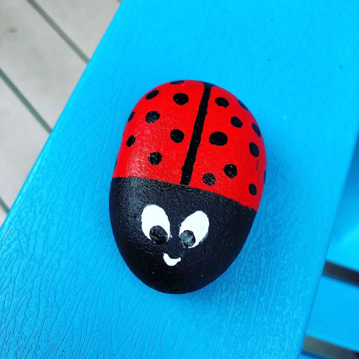 25 Fun and Easy Ladybug Rock Ideas - Blitsy
