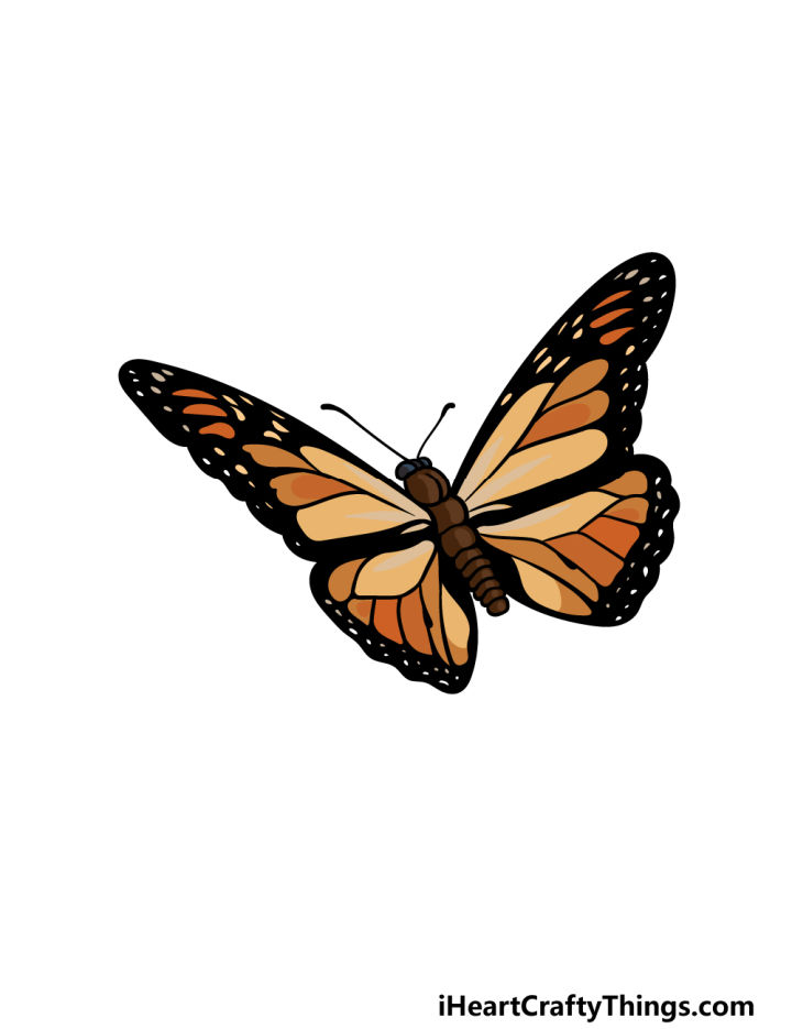 25 Easy Butterfly Drawing Ideas - How to Draw