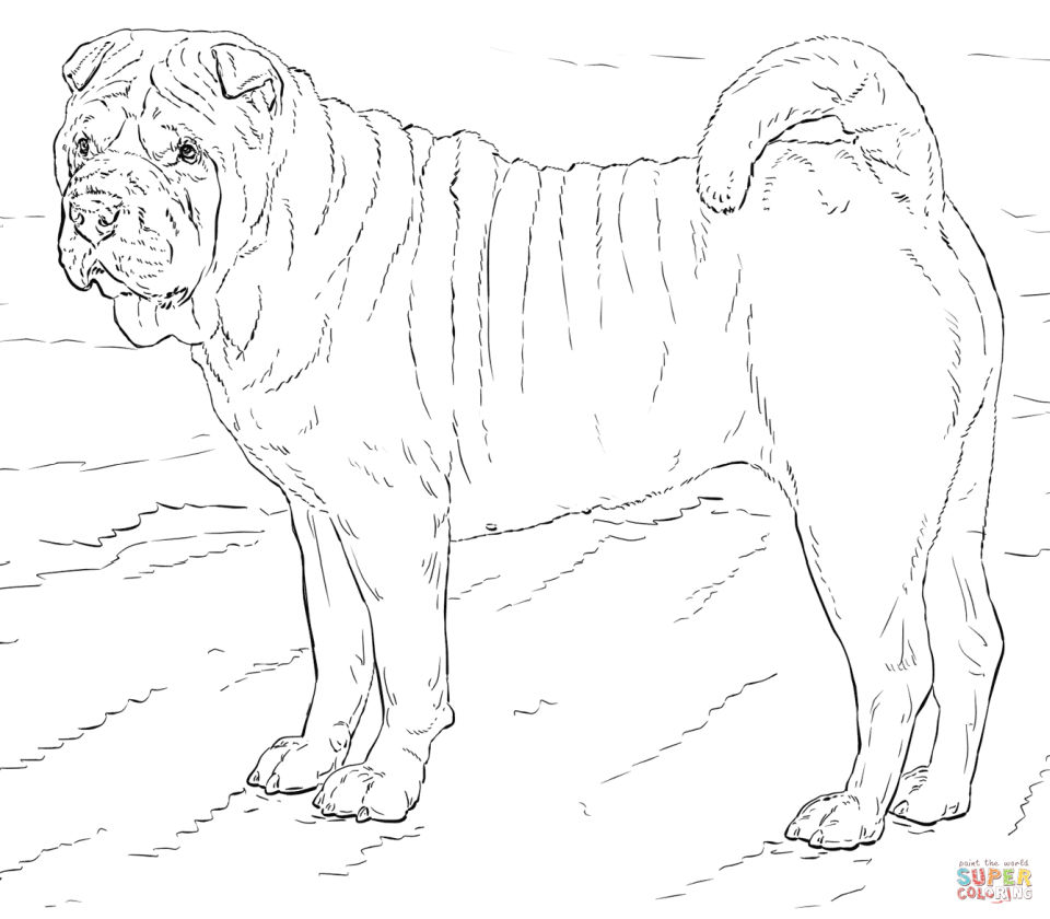 25 Free Printable Dog Coloring Pages for Kids and Adults