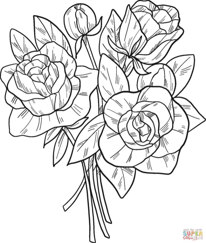 25 Free Flower Coloring Pages for Kids and Adults