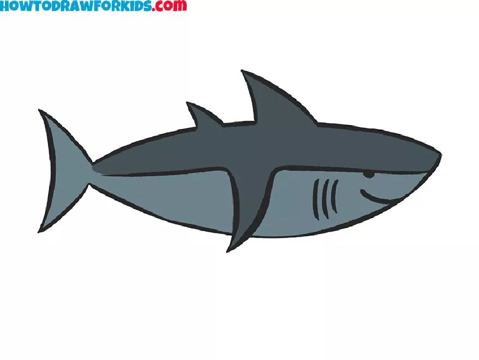 25 Easy Shark Drawing Ideas - How to Draw a Shark