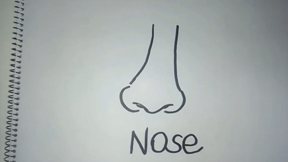 25 Easy Nose Drawing Ideas - How To Draw A Nose - Blitsy