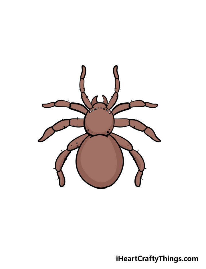25 Easy Spider Drawing Ideas - How to Draw a Spider