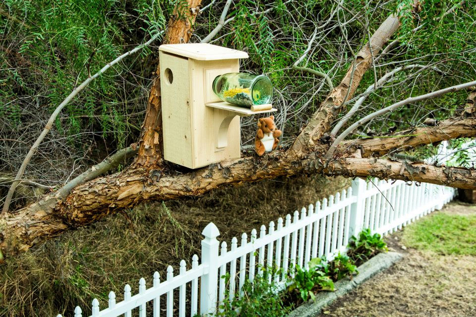 30 Cool DIY Squirrel Feeder Ideas - Blitsy