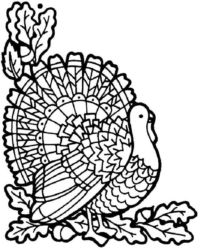 25 Free Printable Fall Coloring Pages for Kids and Adults