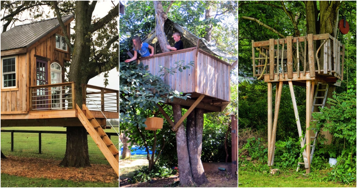 DIY Tree House (30 Free Plans) - Blitsy