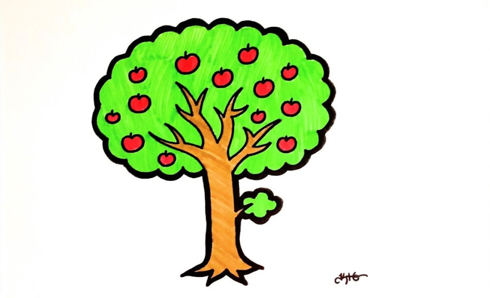 25 Easy Apple Drawing Ideas - How To An Draw Apple - Blitsy