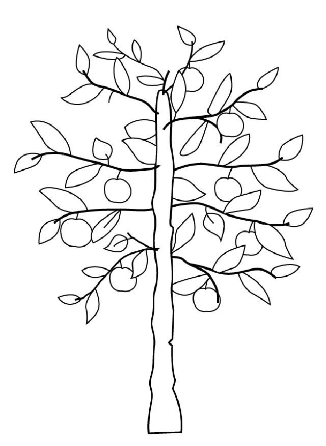 40 Easy Tree Drawing Ideas - How To Draw A Tree - Blitsy