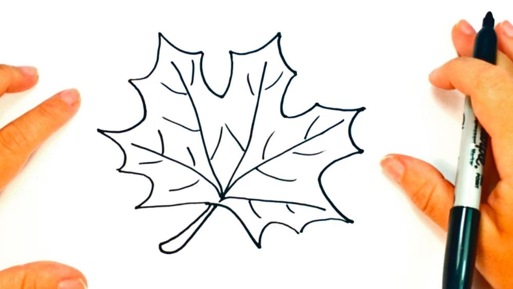 15 Easy Fall Leaf Drawing Ideas - Fall Leaves Drawing