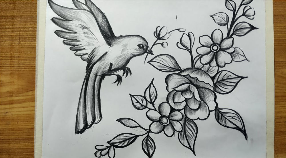 30 Easy Bird Drawing Ideas - How To Draw A Bird - Blitsy