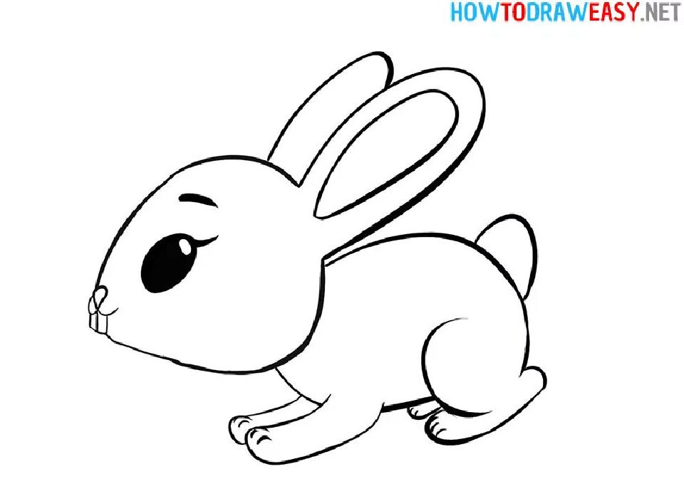 25 Easy Bunny Drawing Ideas - How to Draw a Bunny