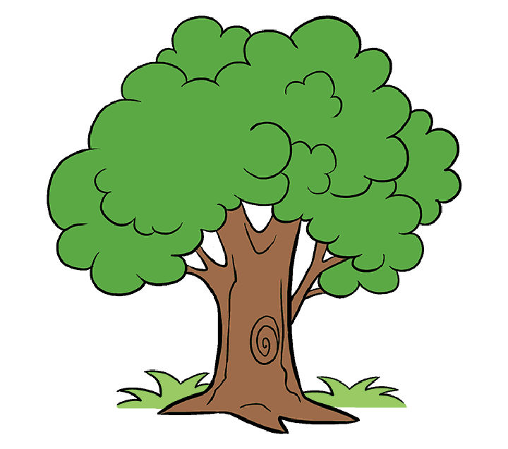 40 Easy Tree Drawing Ideas - How To Draw A Tree - Blitsy