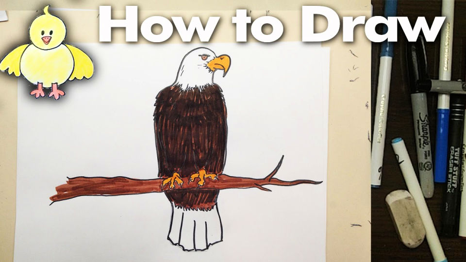 20 Easy Eagle Drawing Ideas - How To Draw An Eagle - Blitsy