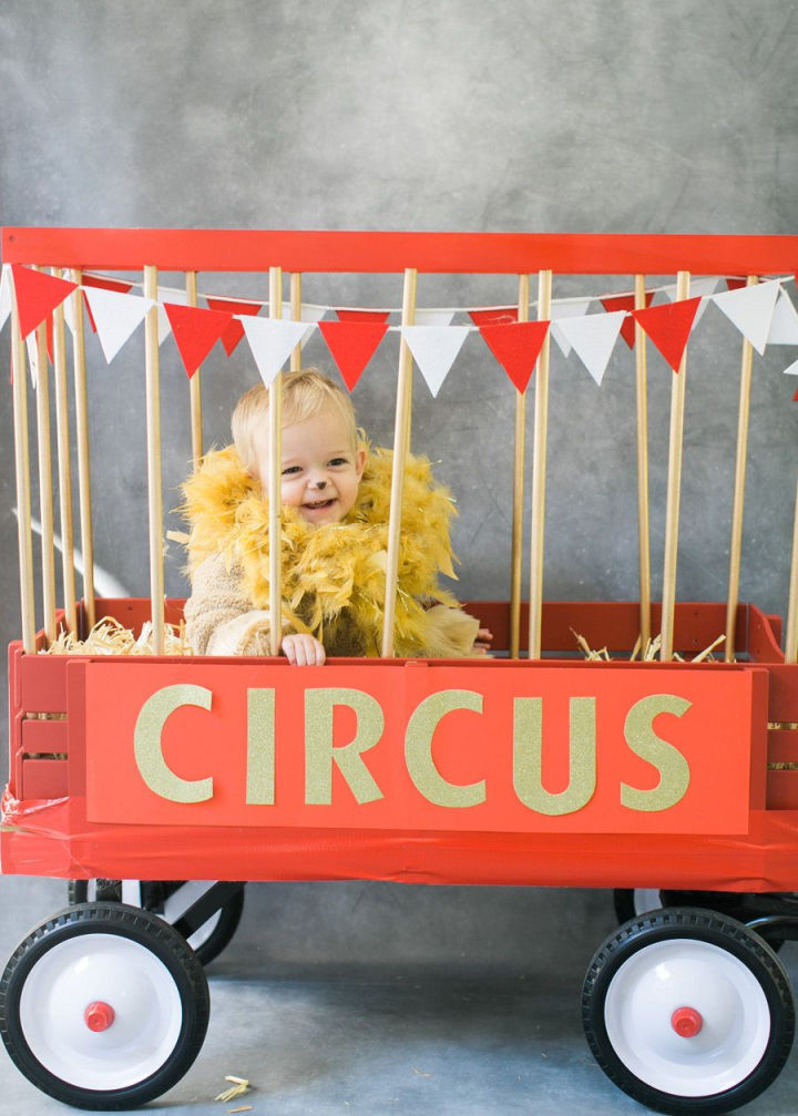 20 DIY Circus Costume Ideas for Family This Halloween
