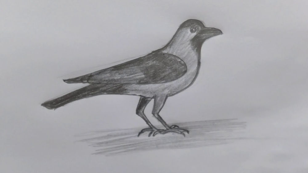 20 Easy Crow Drawing Ideas - How To Draw Crow - Blitsy