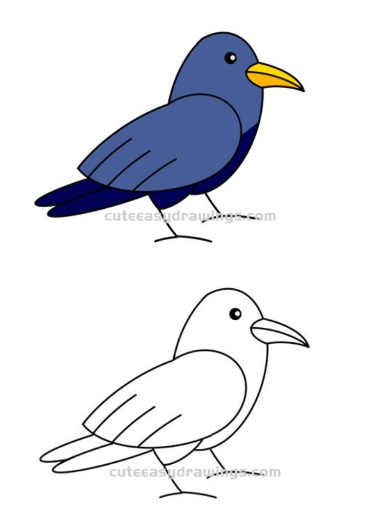 20 Easy Crow Drawing Ideas - How To Draw Crow - Blitsy