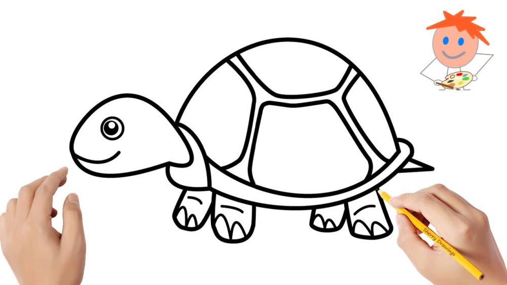 25 Easy Turtle Drawing Ideas - How To Draw A Turtle - Blitsy