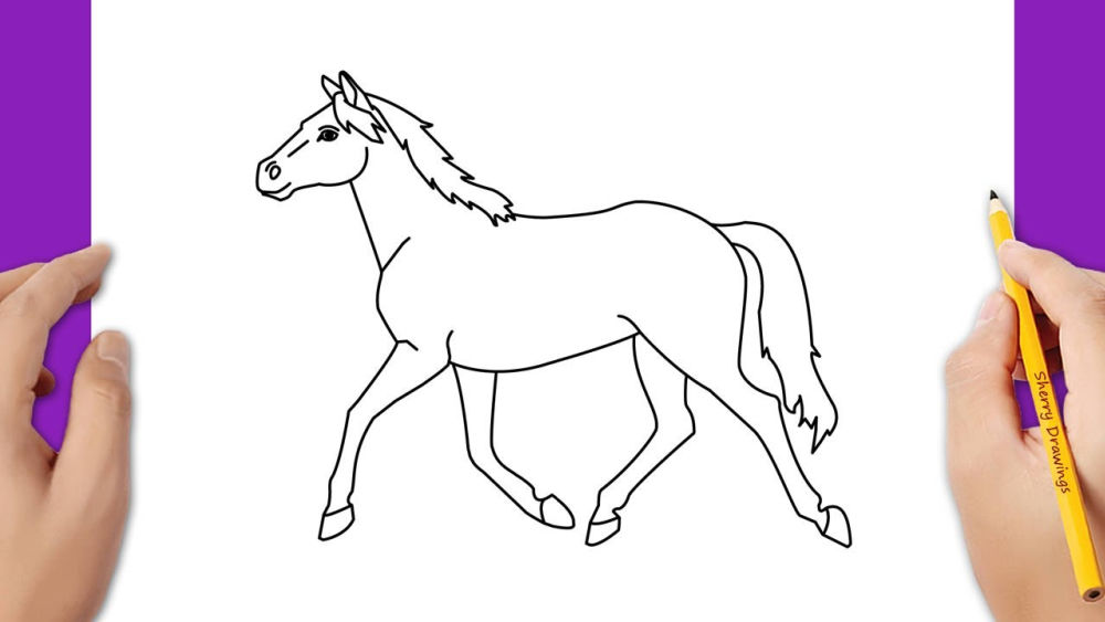 25 Easy Horse Drawing Ideas - How To Draw A Horse - Blitsy