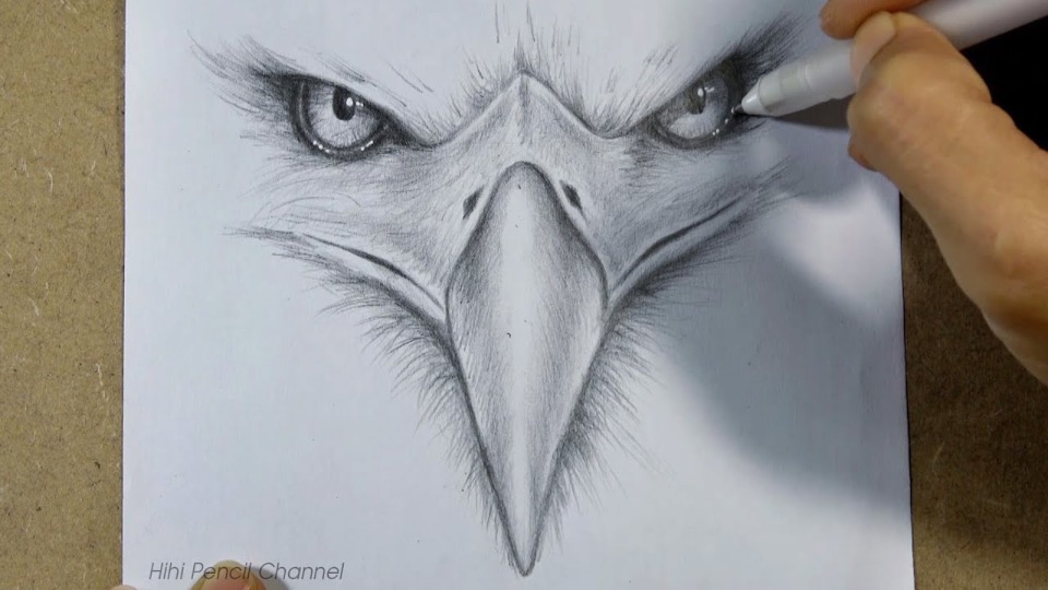 20 Easy Eagle Drawing Ideas - How To Draw An Eagle - Blitsy