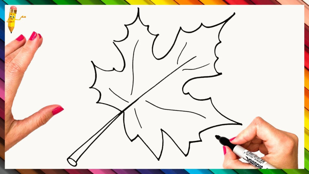 15 Easy Fall Leaf Drawing Ideas - Fall Leaves Drawing