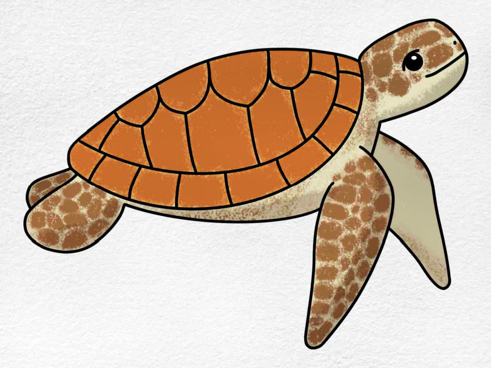 25 Easy Turtle Drawing Ideas - How To Draw A Turtle - Blitsy