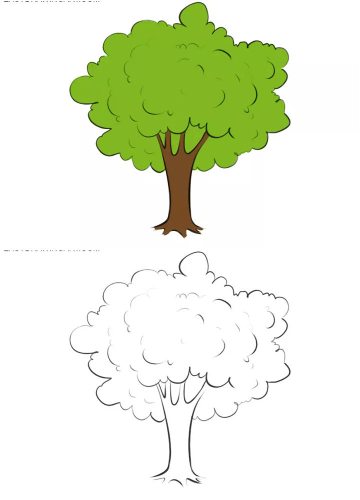 Draw A Tree Draw A Tree Easy Houston Whines