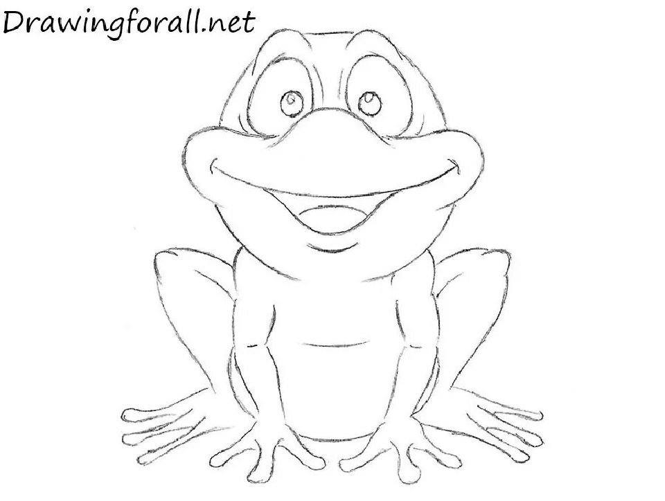 20 Easy Frog Drawing Ideas - How To Draw A Frog - Blitsy