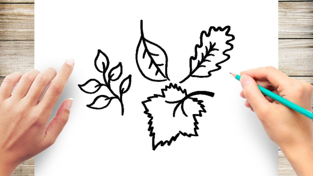 15 Easy Fall Leaf Drawing Ideas - Fall Leaves Drawing