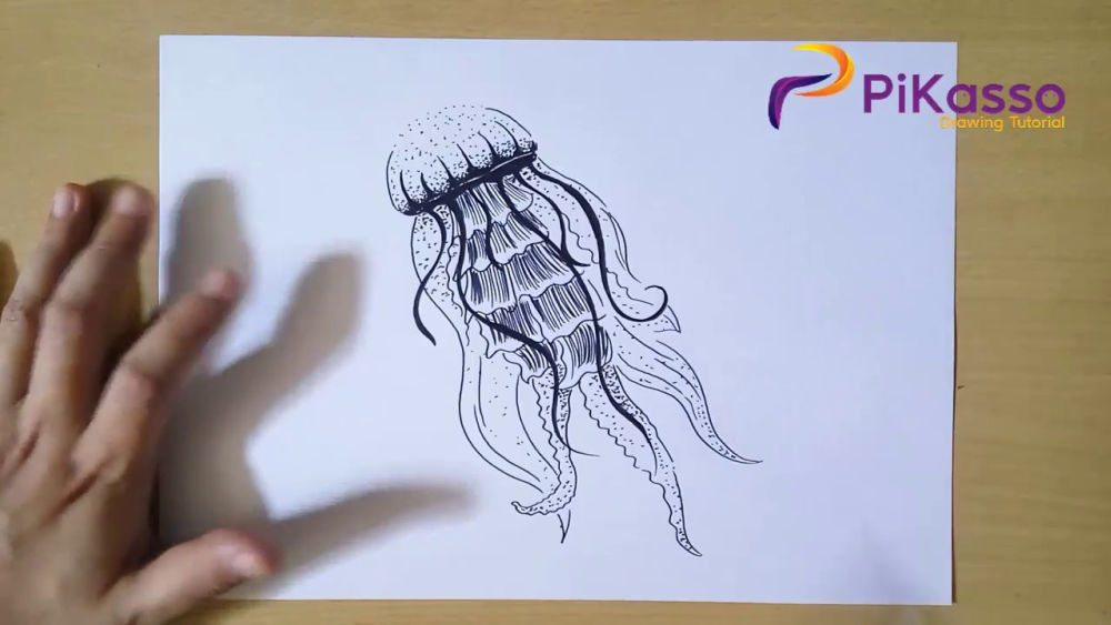 20 Easy Jellyfish Drawing Ideas - How to Draw a Jellyfish