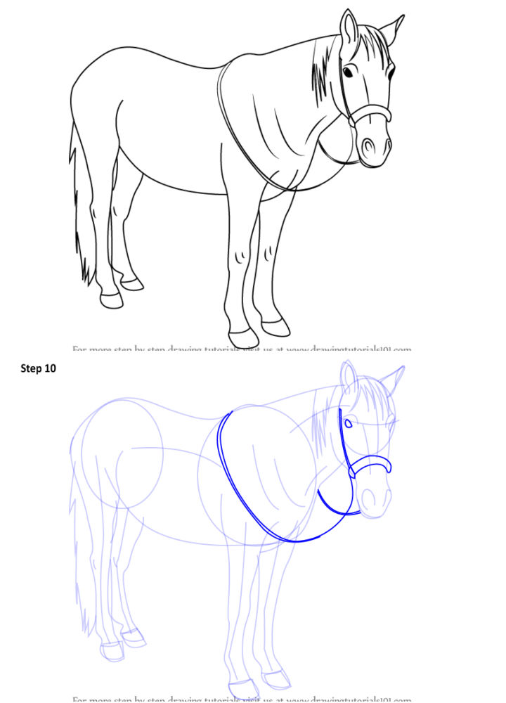 25 Easy Horse Drawing Ideas - How To Draw A Horse - Blitsy