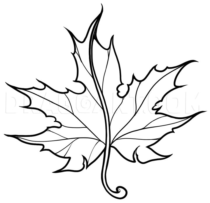 15 Easy Fall Leaf Drawing Ideas - Fall Leaves Drawing