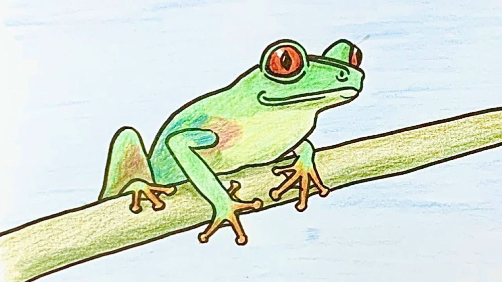 20 Easy Frog Drawing Ideas - How To Draw A Frog - Blitsy
