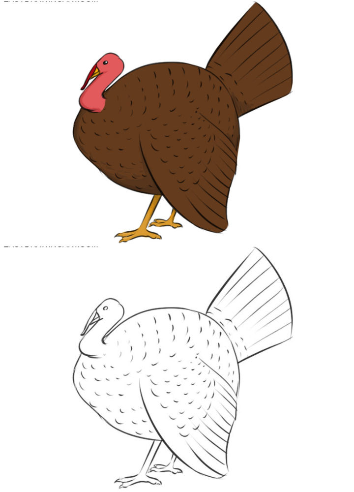 30 Easy Bird Drawing Ideas - How To Draw A Bird - Blitsy