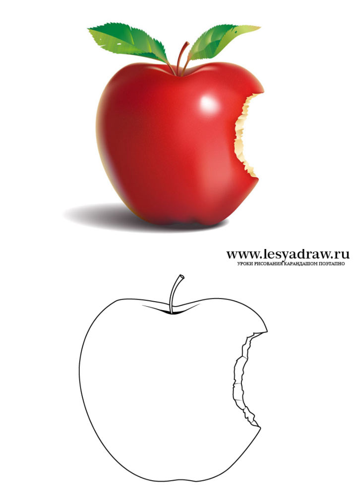 25 Easy Apple Drawing Ideas - How To An Draw Apple - Blitsy