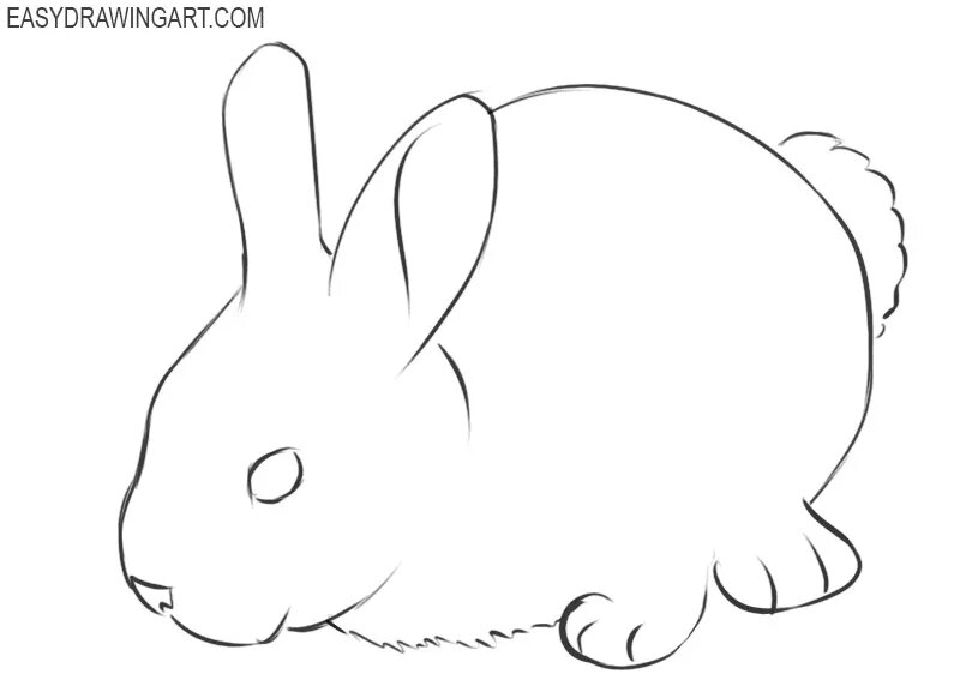 25 Easy Bunny Drawing Ideas - How to Draw a Bunny
