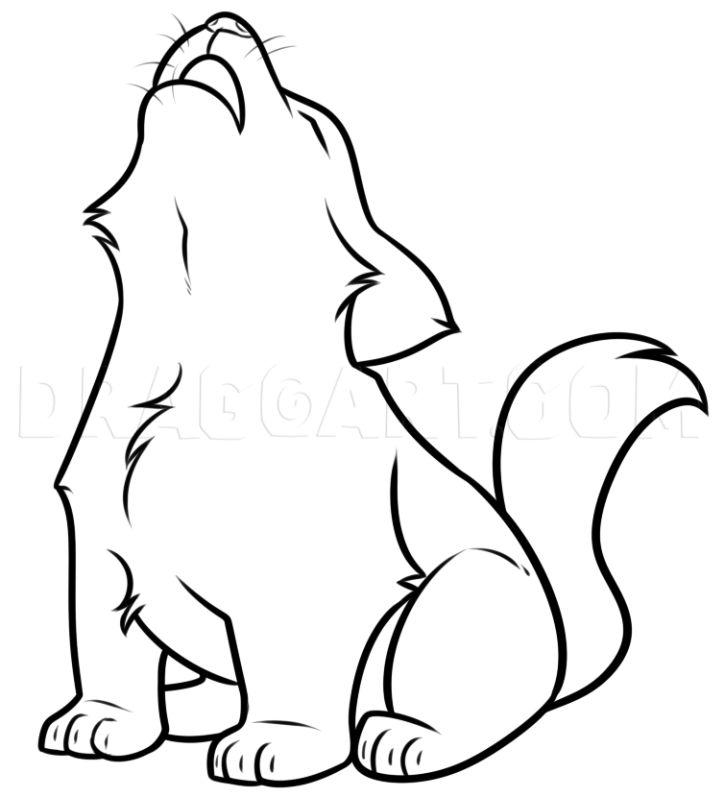 25 Easy Wolf Drawing Ideas - How to Draw a Wolf - Blitsy