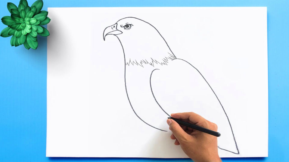 20 Easy Eagle Drawing Ideas - How To Draw An Eagle - Blitsy