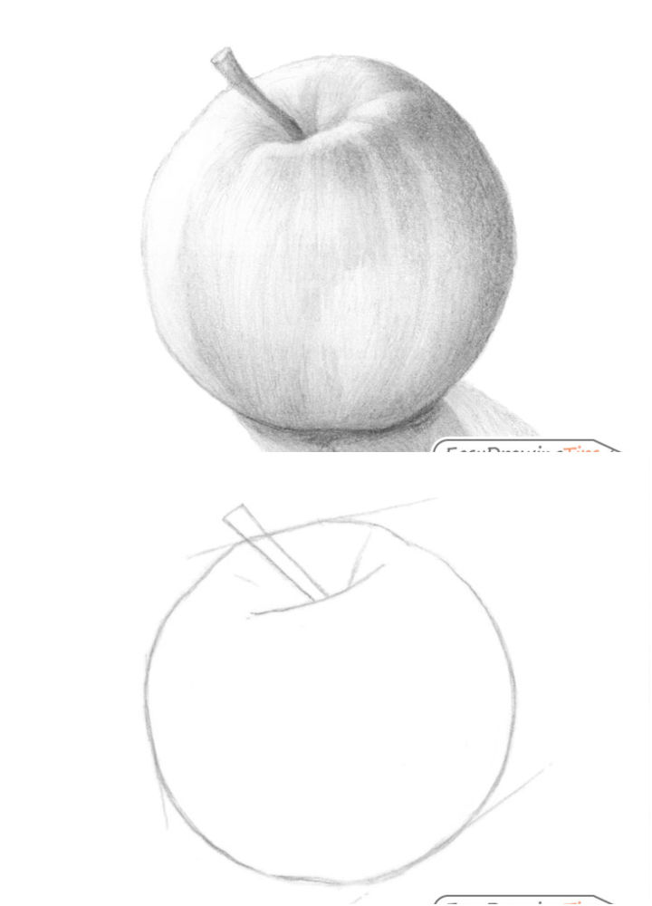 25 Easy Apple Drawing Ideas - How To An Draw Apple - Blitsy