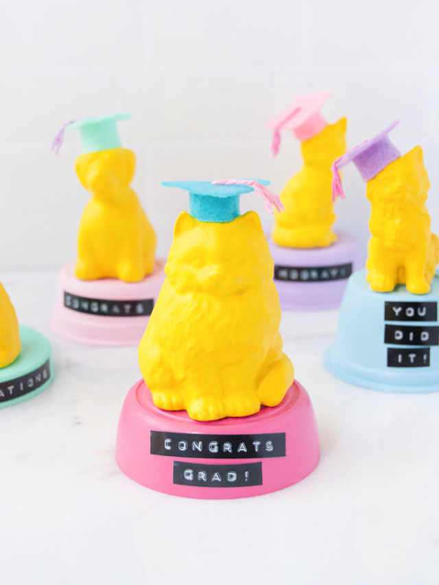 40 Creative and Fun Graduation Party Ideas - Blitsy