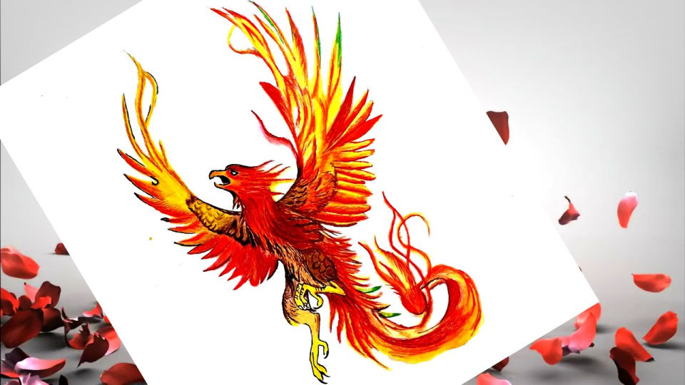 15 Easy Phoenix Drawing Ideas - How to Draw a Phoenix