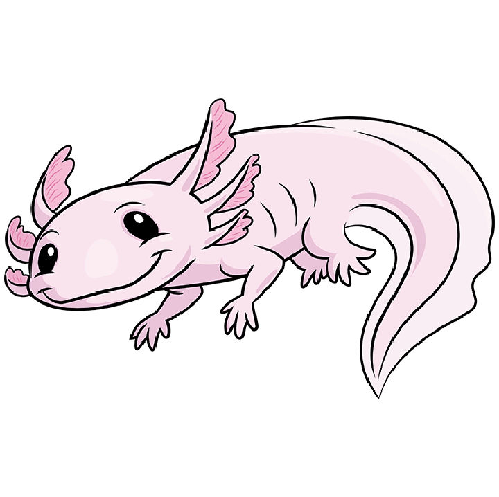 How To Draw A Minecraft Axolotl - Roberts Thenly