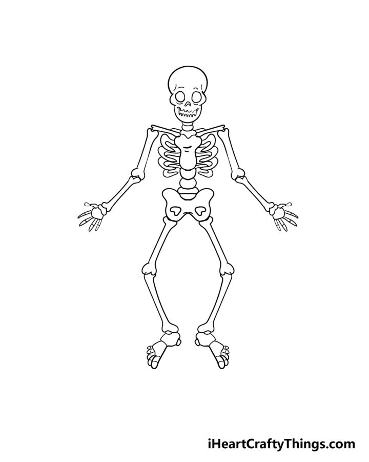 25 Easy Skeleton Drawing Ideas - How To Draw A Skeleton