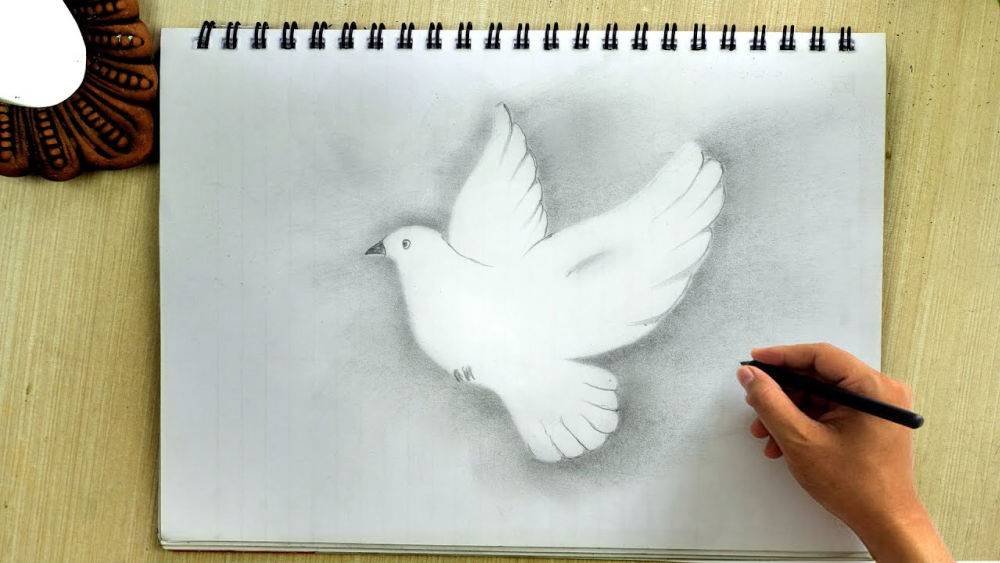 20 Easy Flying Bird Drawing Ideas - How To Draw A Flying Bird