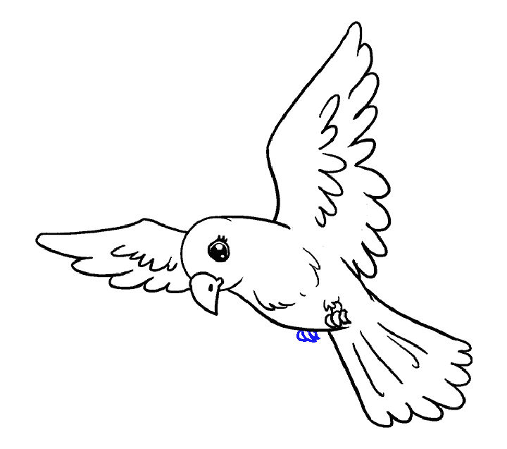 20 Easy Flying Bird Drawing Ideas - How To Draw A Flying Bird