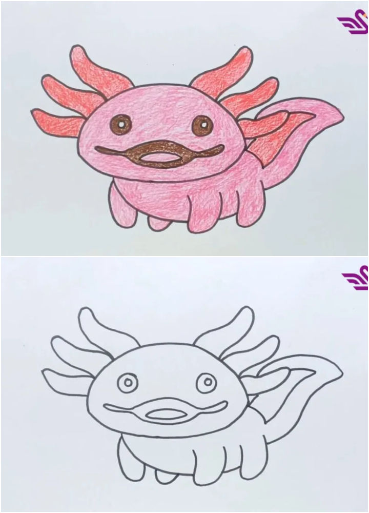 15 Cute Axolotl Drawing Ideas - How to Draw an Axolotl - Blitsy