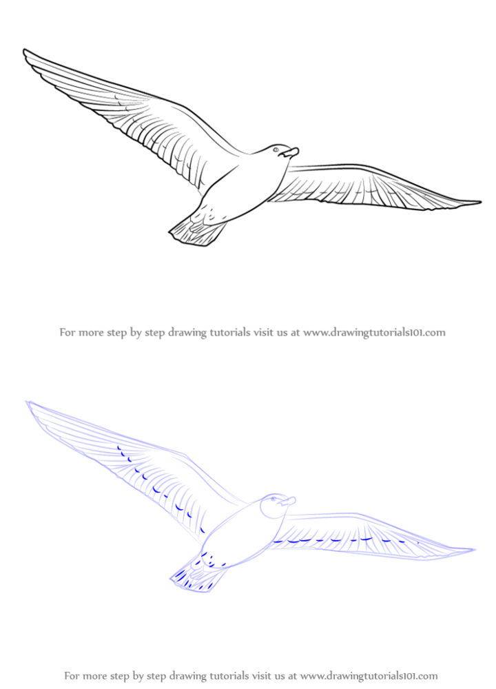 20 Easy Flying Bird Drawing Ideas - How To Draw A Flying Bird