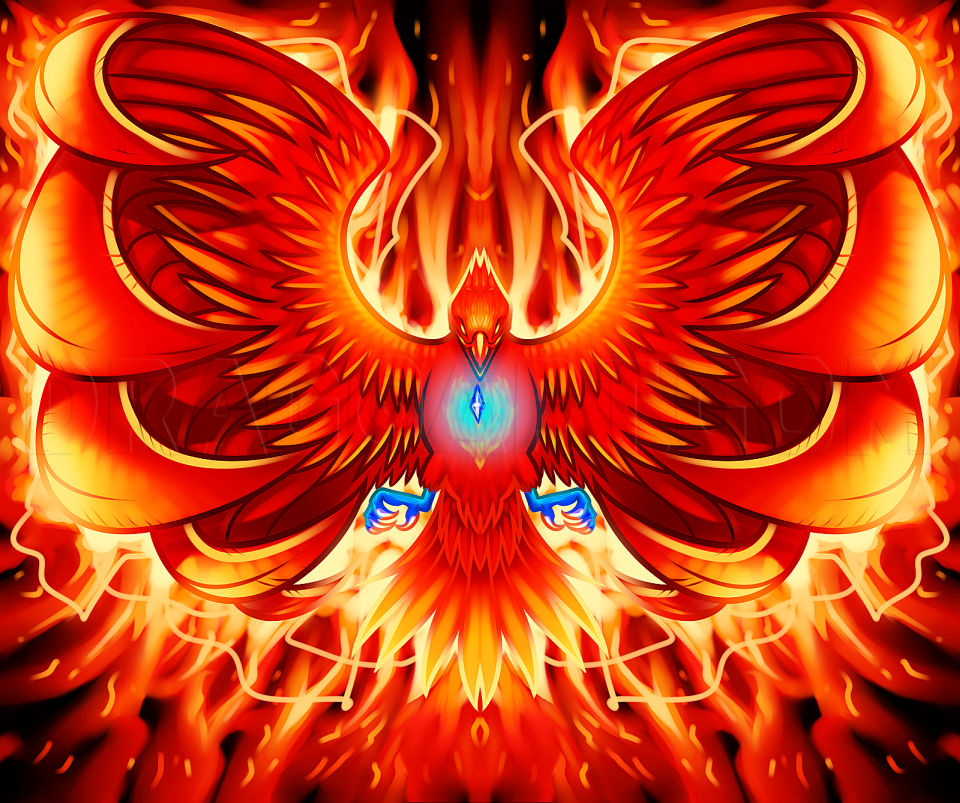 15 Easy Phoenix Drawing Ideas - How to Draw a Phoenix