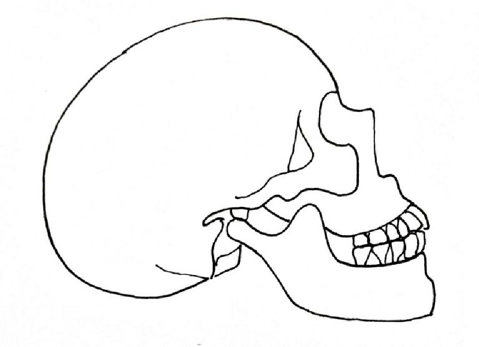 25 Easy Skull Drawing Ideas - How to Draw a Skull